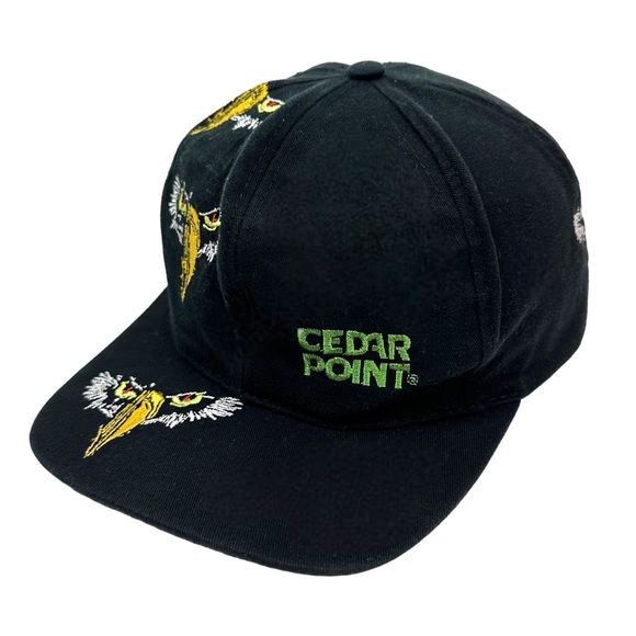 Accessories | Vintage 9s Cedar Point Raptor Theme Park Roller Coaster ...